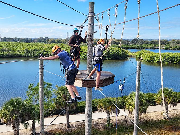 The aerial obstacle course: where adults rediscover playground thrills and simultaneously question their upper body strength choices over the past decade.