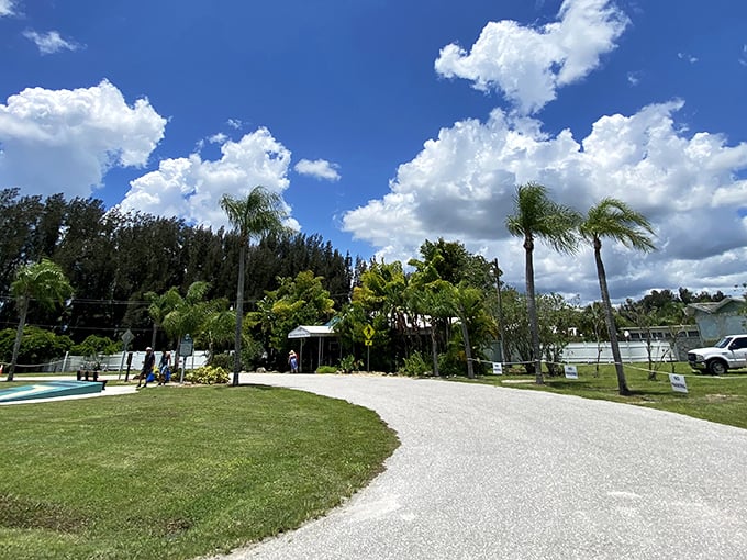 Winding paths guide visitors through lush Florida greenery, offering moments of serenity between healing soaks.