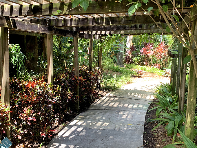 Dappled sunlight plays hide-and-seek through this wooden pergola, creating nature's own light show on the winding stone path.