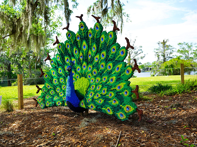 This vibrant LEGO peacock sculpture brings whimsical artistry to the gardens, proving nature and human creativity make perfect companions.