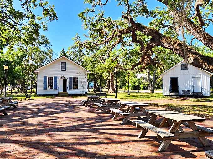 Not your average lunch spot! These picnic tables sit where generations of Floridians once gathered, under the watchful gaze of ancient oaks.