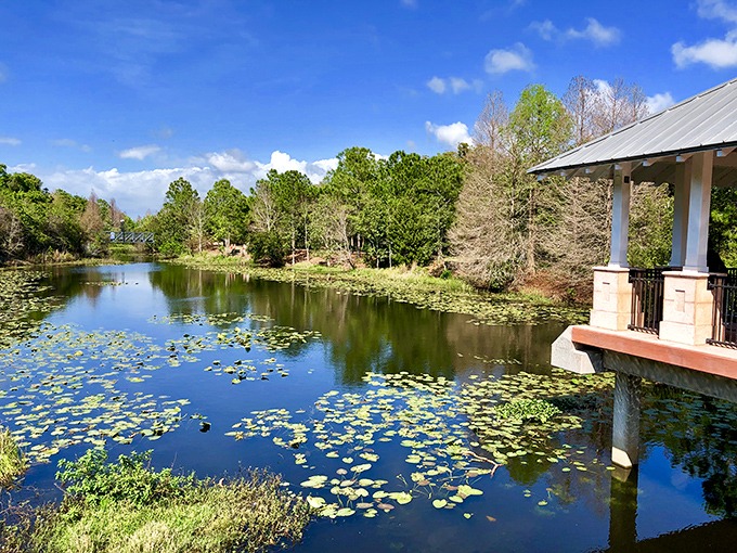 Nature's mirror reflects towering trees and blue skies, creating a double dose of serenity for contemplative visitors.