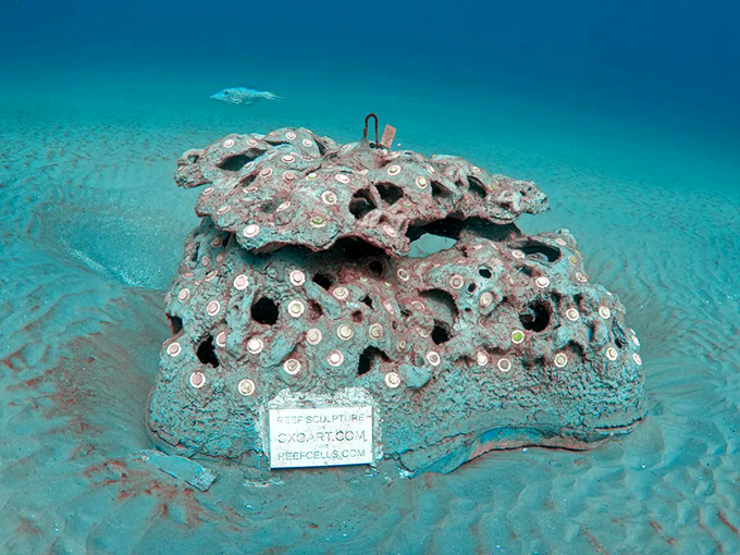 Not just a pretty face! Each reef module is scientifically designed to create optimal habitat for marine life.