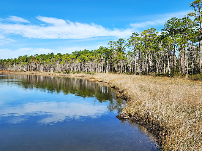 Mirror-like waters reflect the pristine wilderness, creating a double dose of natural beauty that soothes the soul.