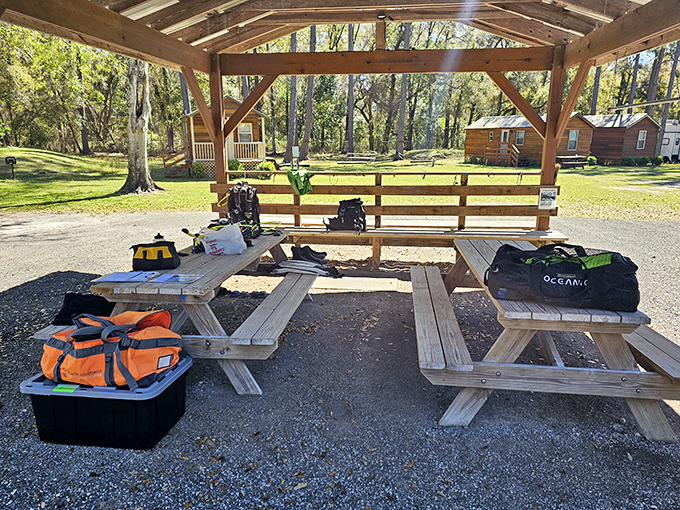 Between dives, these wooden benches offer front-row seats to nature's greatest show. The anticipation builds with every bubbling surface break.