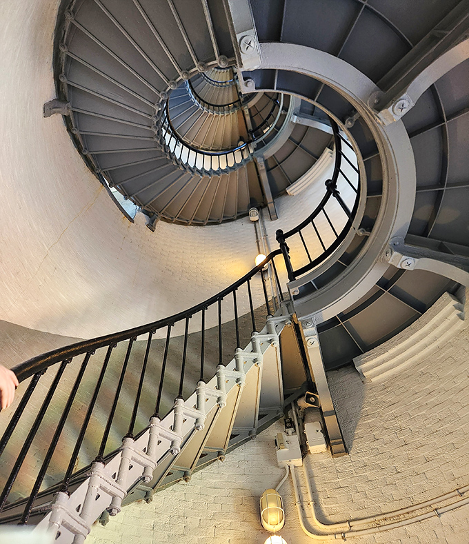The dizzying spiral staircase winds upward like a nautical DNA strand, each step a connection to lighthouse keepers who made this climb daily without Instagram bragging rights.