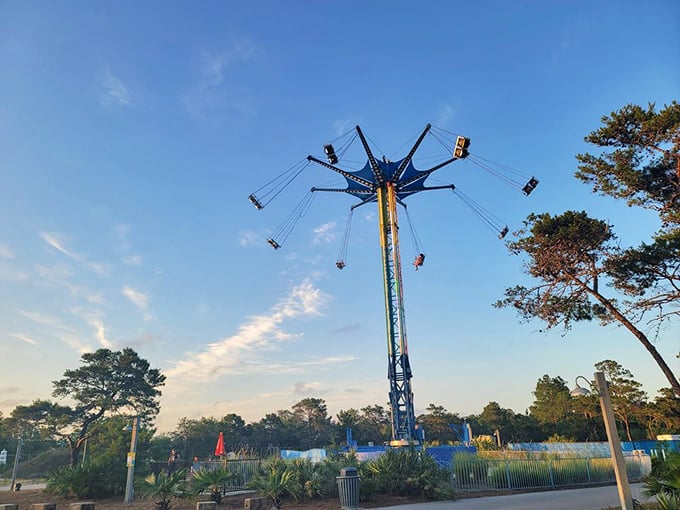 The Eye of the Kraken tower swing launches thrill-seekers skyward, turning screams into laughter as riders swing through Florida's coastal breezes.
