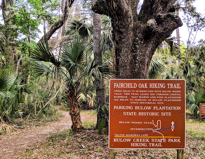The Fairchild Oak Hiking Trail sign stands sentinel, promising adventures through coastal hammocks and plantation history.