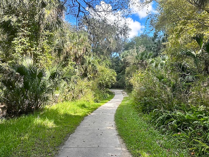 The winding trail beckons adventurers into a verdant Florida wilderness, where civilization's noise fades with each step.