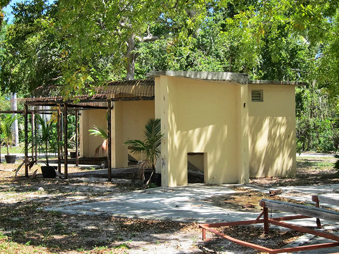 Nature slowly reclaims what humans built, as tropical vegetation encroaches on the abandoned yellow structure that once echoed with the sounds of captive animals.