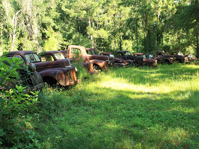 The perspective here really drives home just how many vehicles call this place home, each one slowly becoming part of the landscape itself.