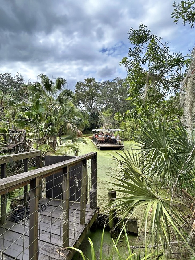 The vibrant green waters create a surreal backdrop as visitors glide through this primordial landscape on their guided adventure.