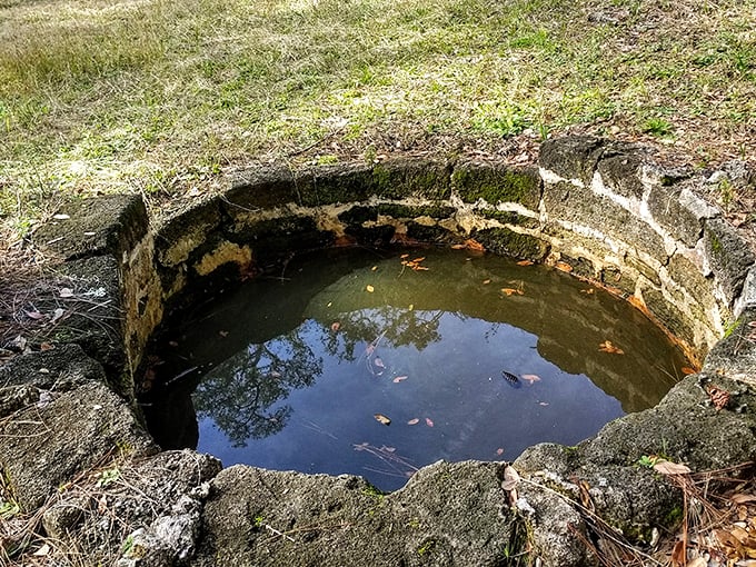 This circular stone well seems more like a portal to another time than a practical water source.