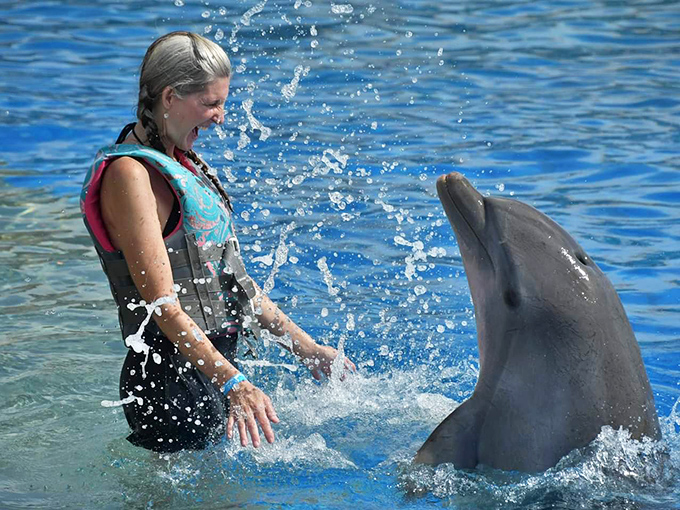The magical moment of connection between human and dolphin &ndash; where curiosity meets wonder across species in a splash of mutual fascination.