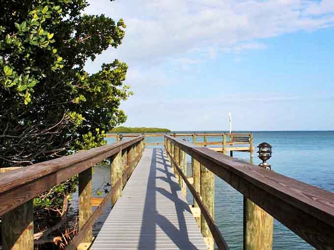 This wooden boardwalk leads somewhere magical, or at least somewhere with better views than your current location, guaranteed.