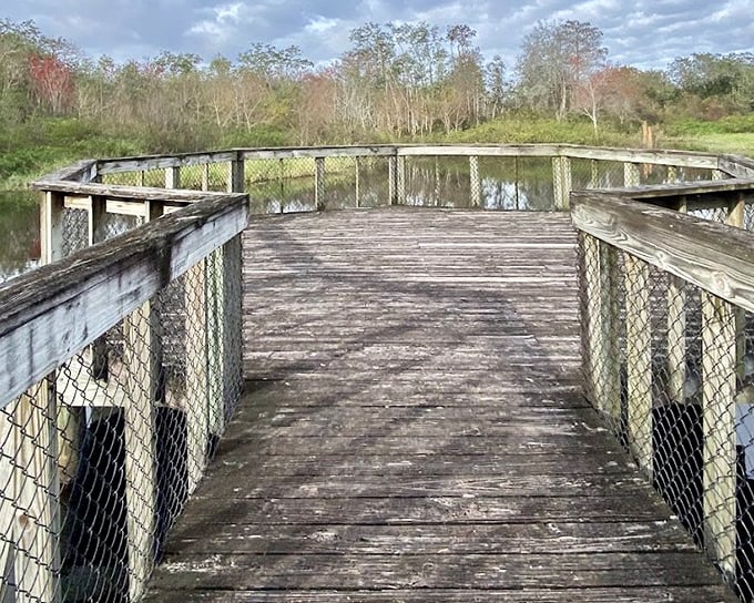 This weathered wooden platform offers front-row seats to nature's greatest show &ndash; no ticket required.