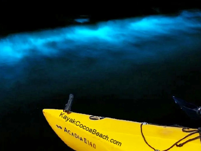 Ocean magic at your fingertips! The brilliant blue glow of bioluminescent organisms illuminates the waters around a yellow kayak at Cocoa Beach.