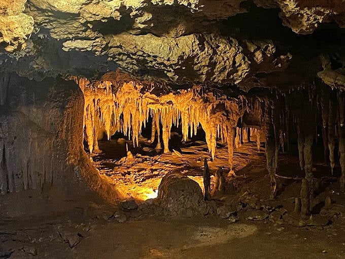 Florida Caverns State Park's golden-lit formations create a natural underground cathedral, shaped by water and time over countless millennia.
