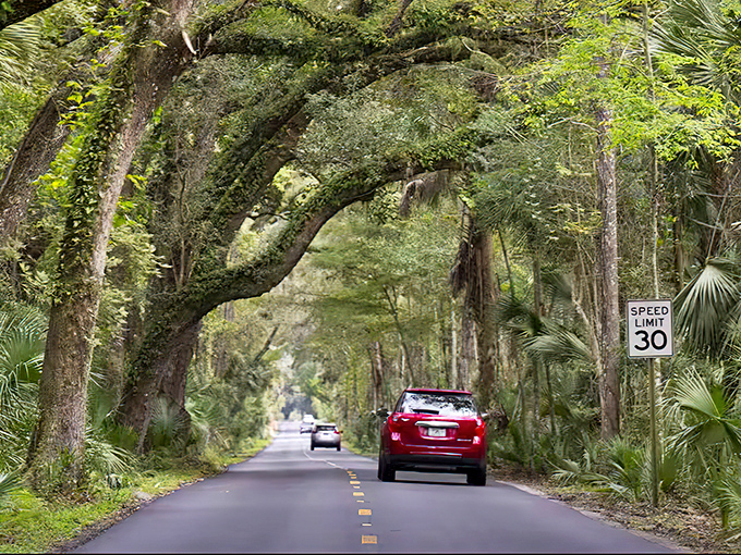 John Anderson Drive offers the perfect blend of forest and coastal vibes, where ancient oaks frame glimpses of the Halifax River beyond.