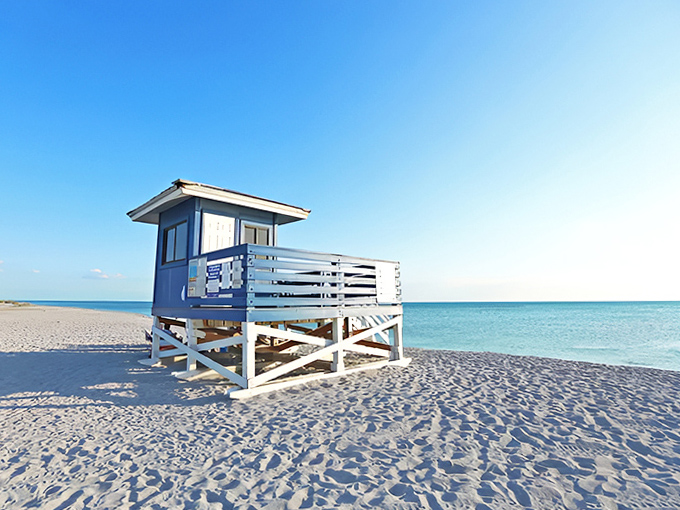 A classic blue lifeguard stand pops against the sugar-white sands of Venice Beach, where the Gulf waters shimmer in crystal clarity.