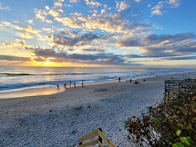 Sunset at Canova creates a postcard-perfect moment as beachgoers and their four-legged friends enjoy the golden hour glow.