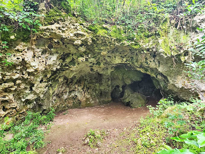 Stalactites hang like nature's chandeliers in Florida Caverns, where each chamber reveals new limestone masterpieces sculpted by centuries of dripping water.