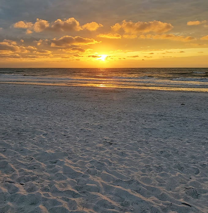 Golden hour at the beach hits different when you're surrounded by natural beauty and peaceful vibes.