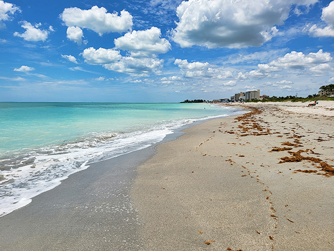 Venice Beach's shoreline stretches invitingly along Florida's Gulf Coast, famous for its prehistoric shark teeth treasures hidden in the sand.