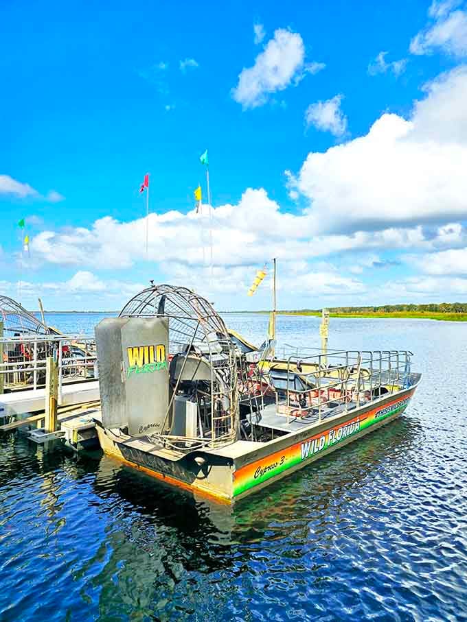 Docked and ready for action, this vibrant airboat promises an authentic Florida experience far from the manufactured magic of theme parks.
