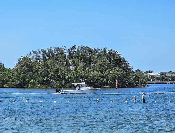Boaters glide past mangrove islands like they're commuting through paradise, which honestly sounds better than any highway commute.
