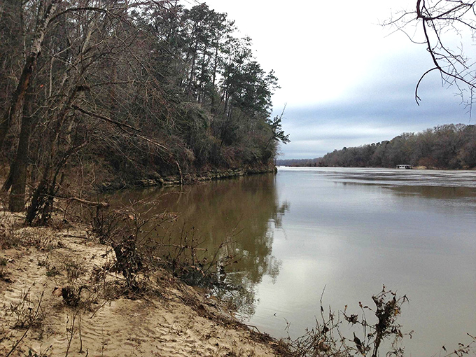 The Apalachicola River lazily winds through the landscape, creating a watercolor painting that constantly changes with the light.