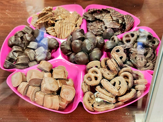 Assorted Chocolates: A pink flower-shaped dish cradles chocolate treasures – each section a different path to bliss.