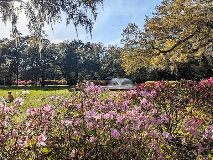 Serenity now! A gentle fountain creates rippling reflections among the pink azaleas, nature's own stress-reduction therapy session.