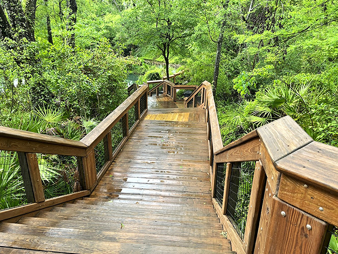 Boardwalk Stairs to Spring: These wooden steps aren't just stairs &ndash; they're a stairway to heaven for hot, weary travelers seeking cool, pristine waters below.