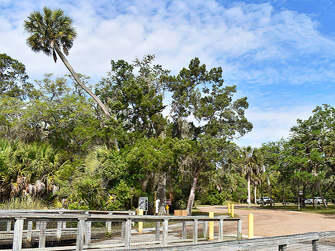 Gateway to adventure: This unassuming entrance leads to wild Florida experiences most tourists never discover.