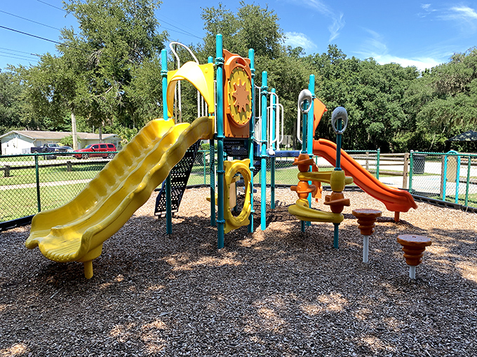 Buschman Park's colorful playground equipment stands ready for adventure, where little pirates can climb, slide, and imagine under Florida sunshine.