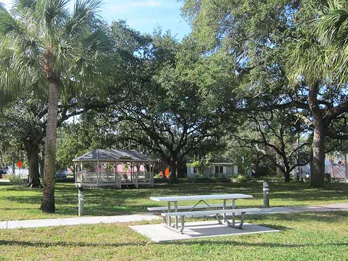 Shaded picnic areas under majestic oak trees create natural dining rooms where families gather and memories marinate alongside the potato salad.