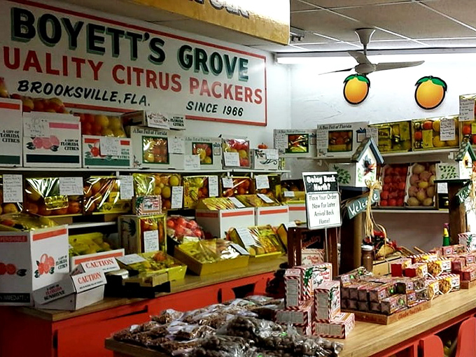 Citrus heaven awaits inside, where shelves overflow with Florida's liquid gold and homemade treats that would make your grandmother nod in approval.