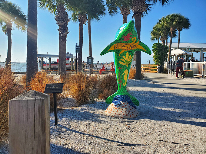 Dunedin's vibrant dolphin statue serves as the unofficial greeter, collecting wishes and photo ops with equal enthusiasm.