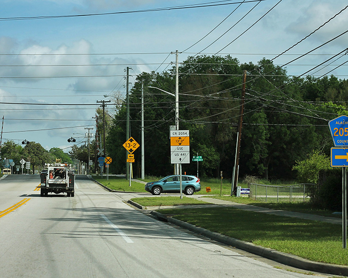 Country roads around Alachua invite leisurely drives where getting lost might be the best part of your adventure.