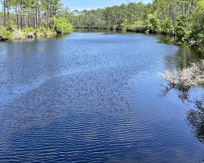 Cash Creek's mirror-like waters reflect the surrounding pines with such precision, you'll wonder which reality to choose.