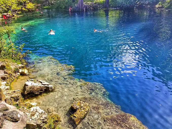 Sunlight dances through the depths, revealing underwater landscapes that rival any coral reef. Nature's aquarium on display!