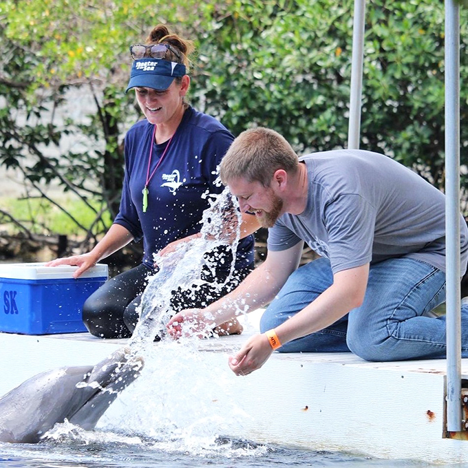 Nothing says "vacation memory" like getting splashed by a playful dolphin. That gentleman's expression is worth every penny of admission.