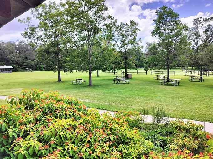 Picnic tables scattered across grounds where the only entertainment needed is good company and better conversation.
