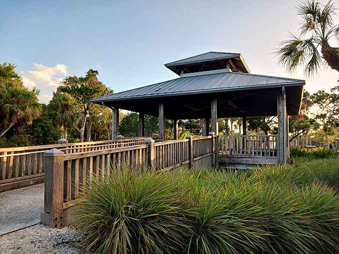 The pavilion stands ready for your picnic, family gathering, or impromptu "let's just sit here and appreciate this view" session.