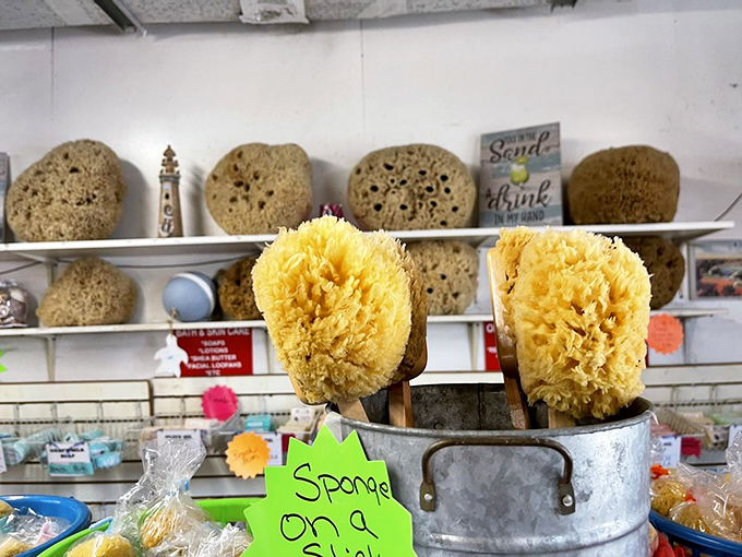 Shelves lined with nature's most absorbent creations &ndash; who knew bathroom accessories could double as conversation pieces?