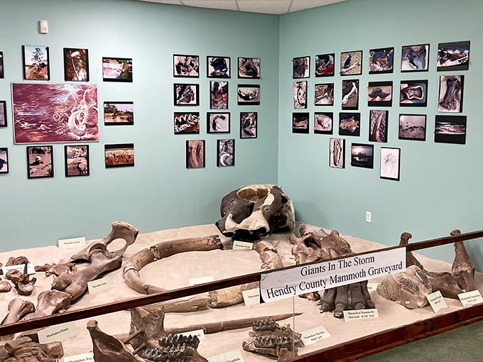 "Giants in the Storm" &ndash; mammoth and mastodon fossils that make your dinosaur-obsessed inner child squeal with prehistoric delight.