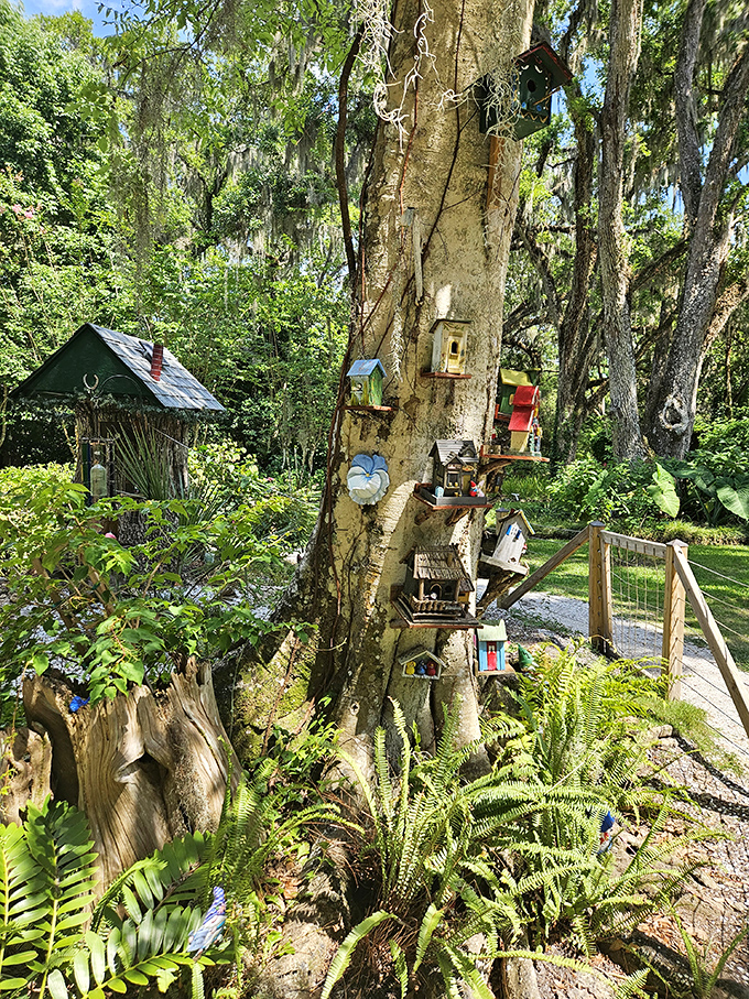 Fairy tale meets Florida foliage with these whimsical gnome homes. Imagine the tiny conversations happening behind those miniature doors while visitors stroll by unaware.