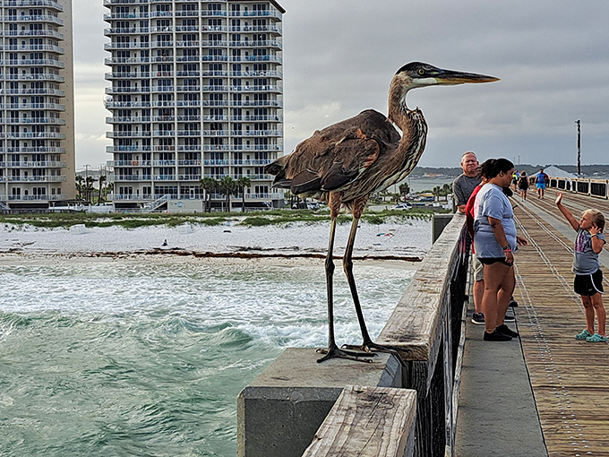 Nature's welcoming committee: A heron strikes a pose, seemingly hired by the tourism board.