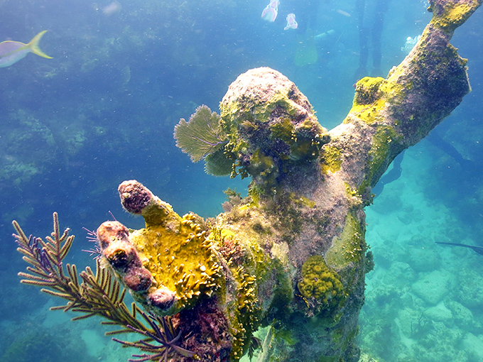 Years of marine colonization have transformed cold bronze into a living canvas, with corals and sponges adding texture to this underwater masterpiece.